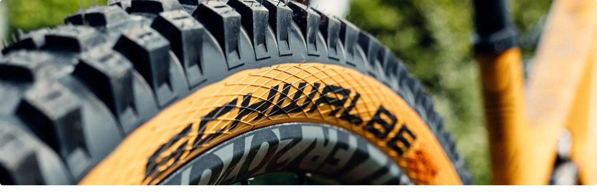 Schwalbe Discover all the products at the best prices on Lordgun